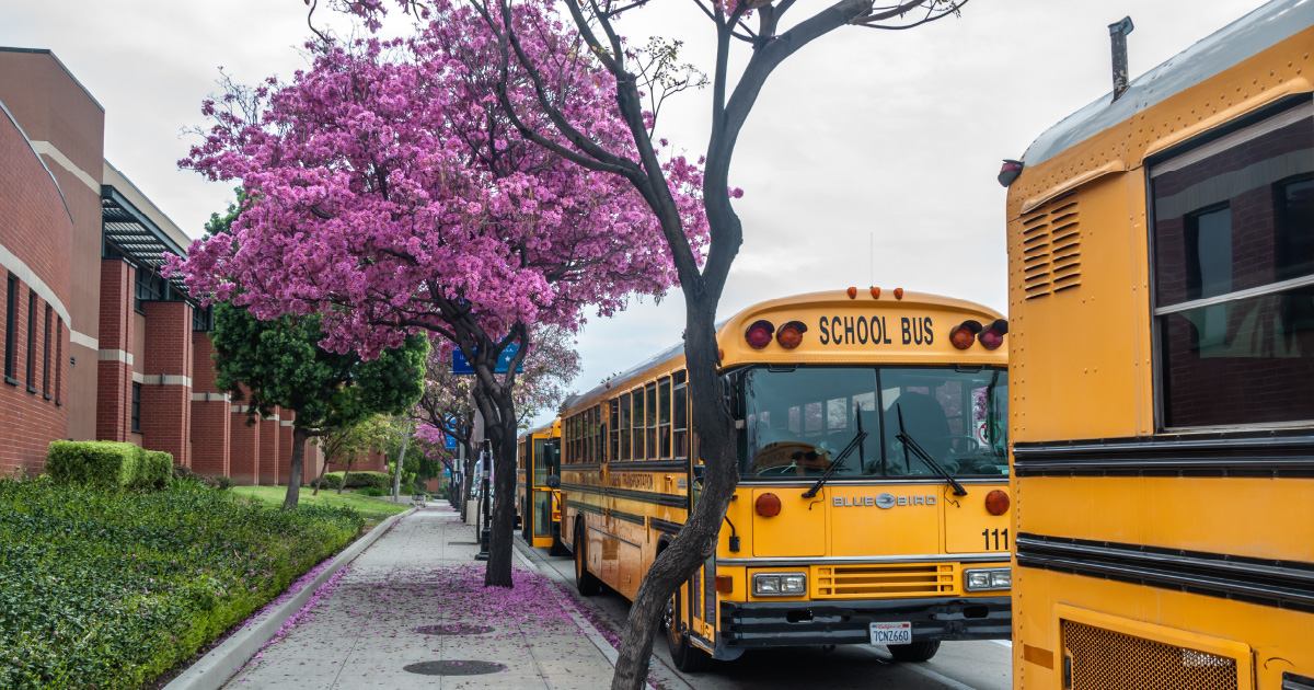 ADM Helps School Districts Manage Bond Referendum Proceeds | ADM